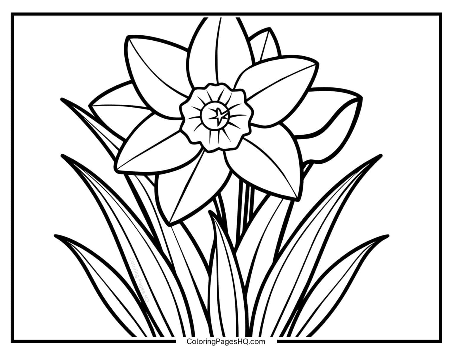 Daffodil Coloring Pages (Free PDF Printables) - Coloring Pages HQ