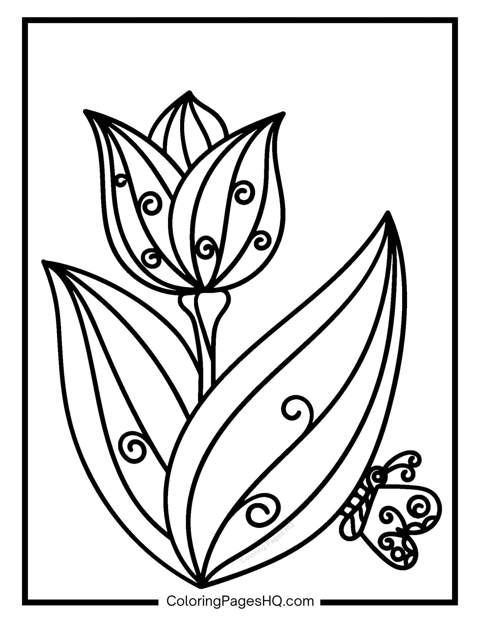 Tulip Coloring Pages (Free PDF Printables) - Coloring Pages HQ