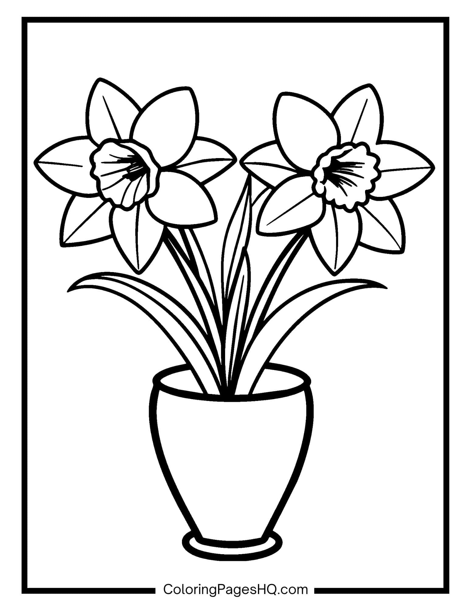 Daffodil Coloring Pages (Free PDF Printables) - Coloring Pages HQ