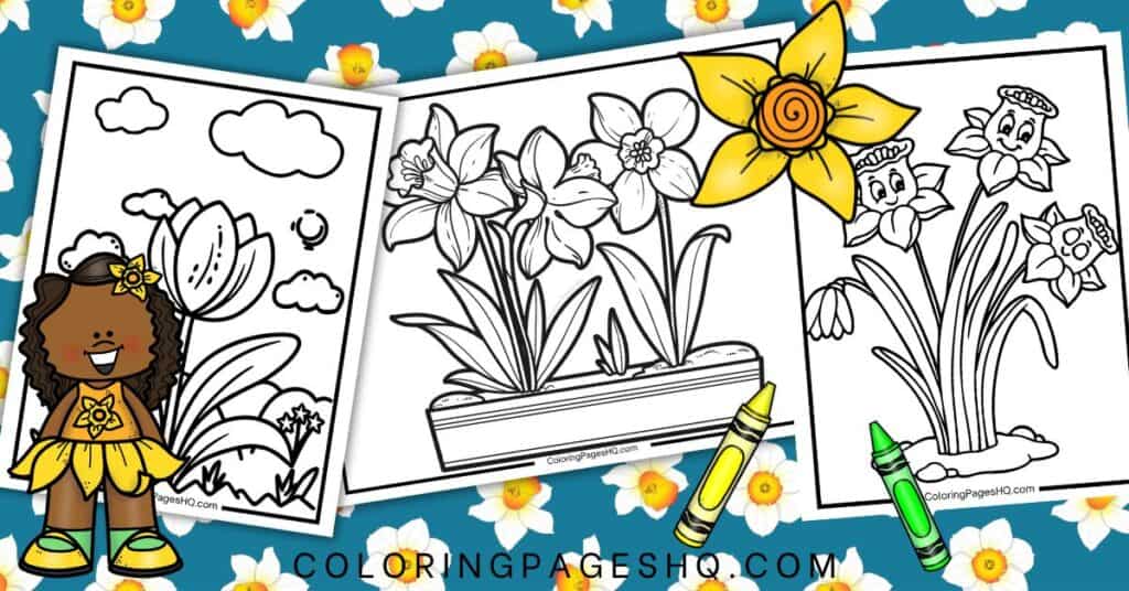 Daffodil Coloring Pages (Free PDF Printables) - Coloring Pages HQ