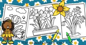 Daffodil Coloring Pages (Free PDF Printables) - Coloring Pages HQ