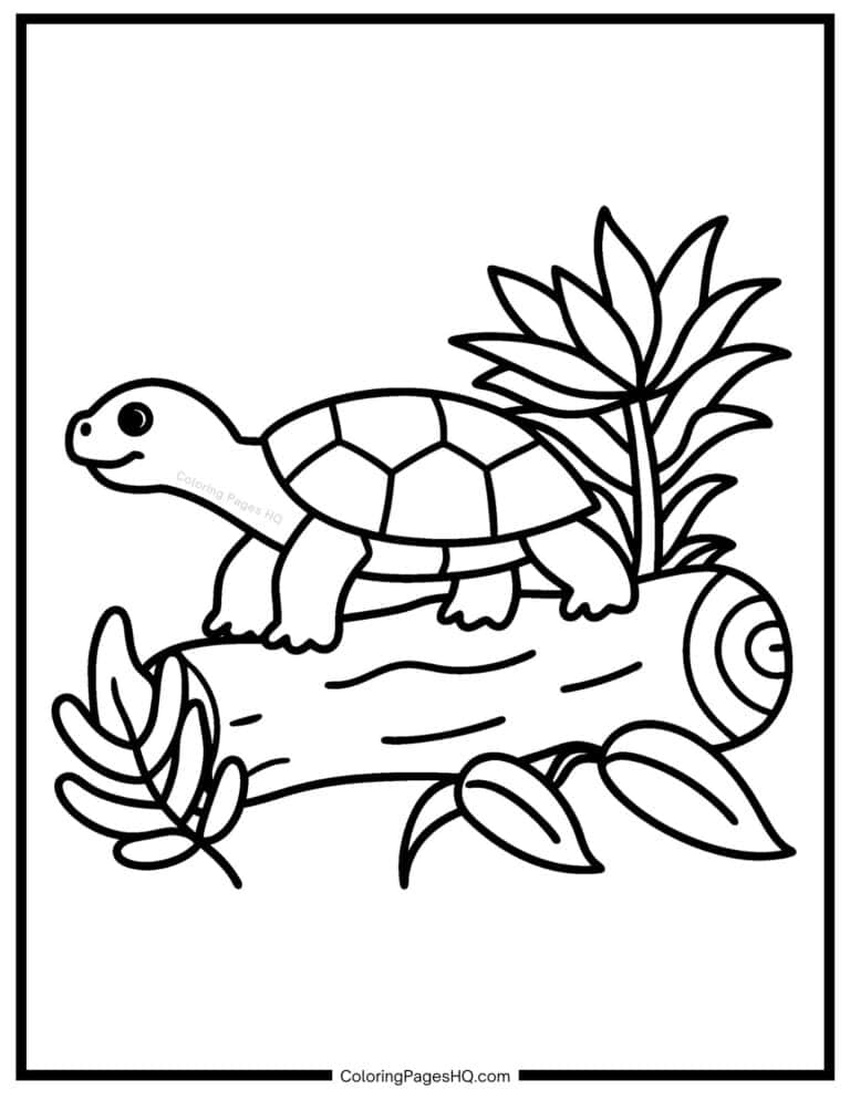Cute Turtle Coloring Pages (Free PDF Printables) - Coloring Pages HQ
