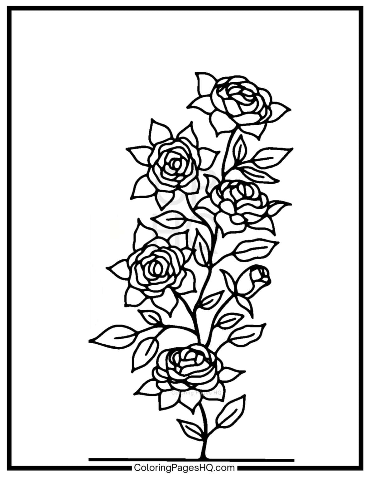 Rose Bush Coloring Pages (Free PDF Printables) - Coloring Pages HQ
