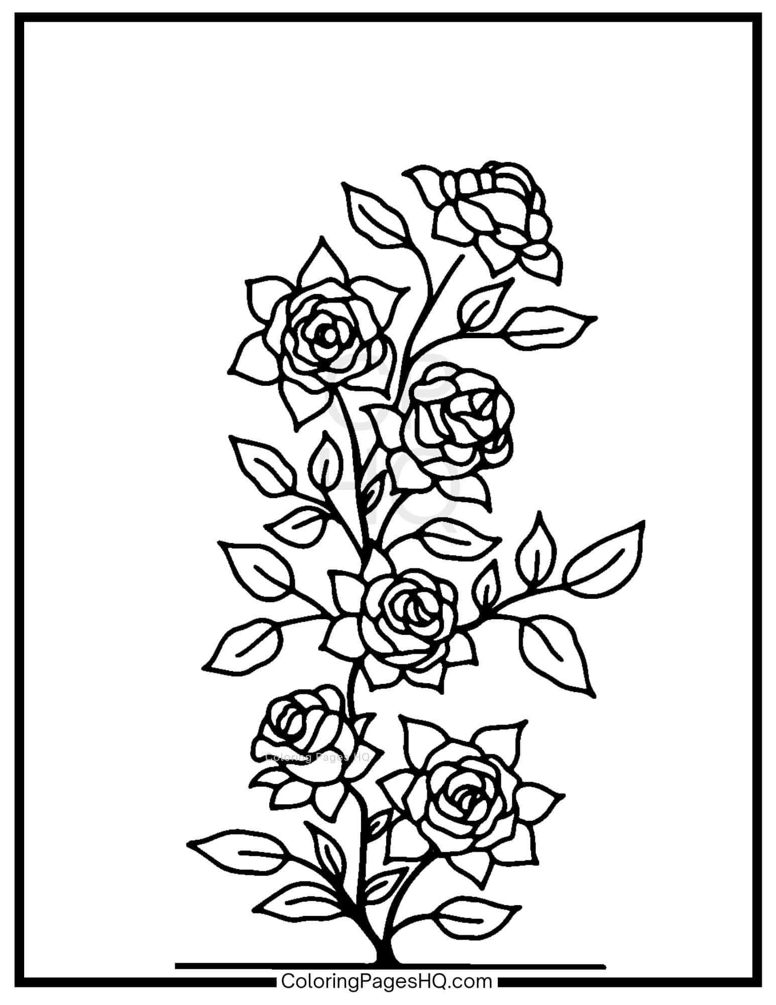 Rose Bush Coloring Pages (Free PDF Printables) - Coloring Pages HQ