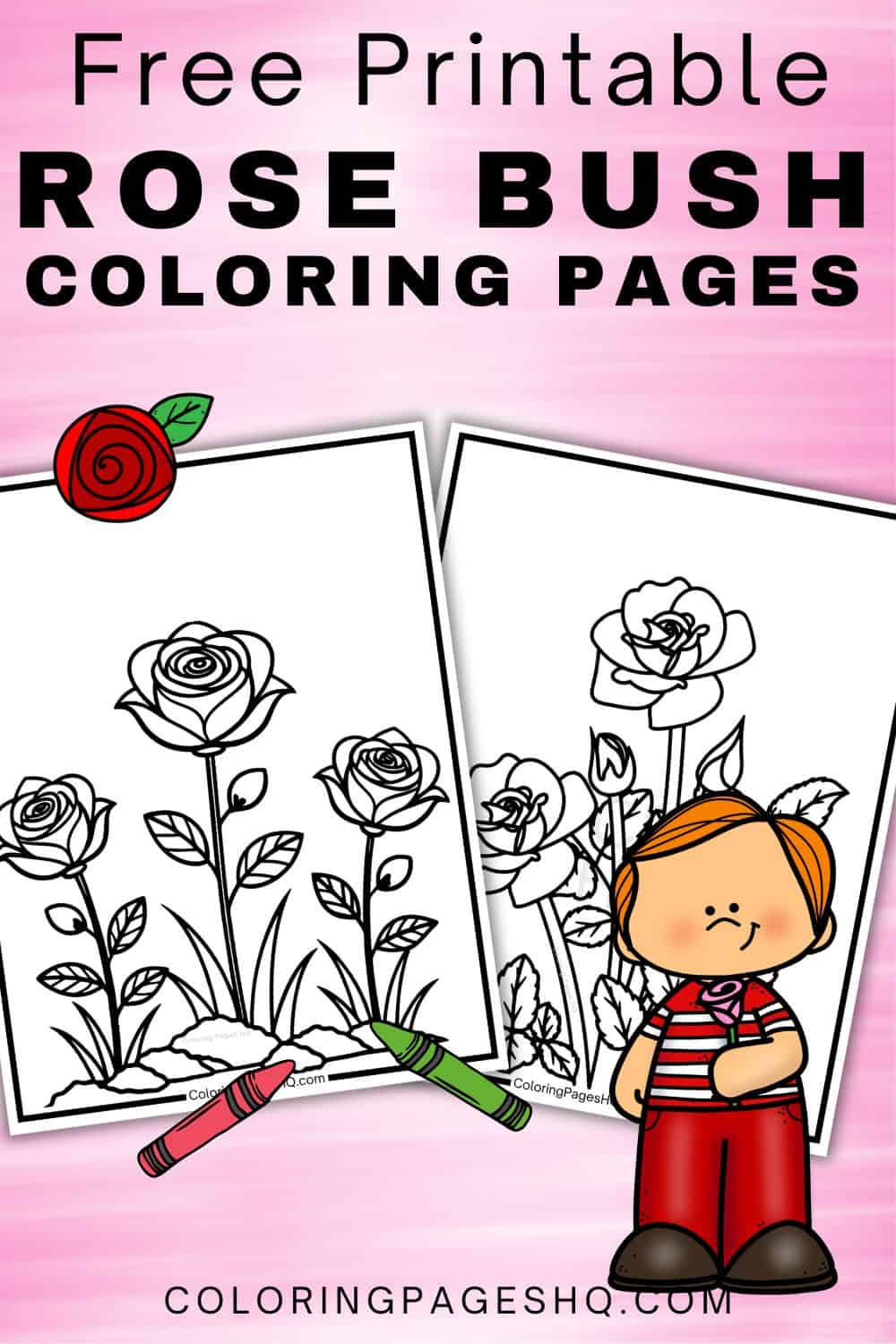 Rose Bush Coloring Pages (Free PDF Printables) - Coloring Pages HQ