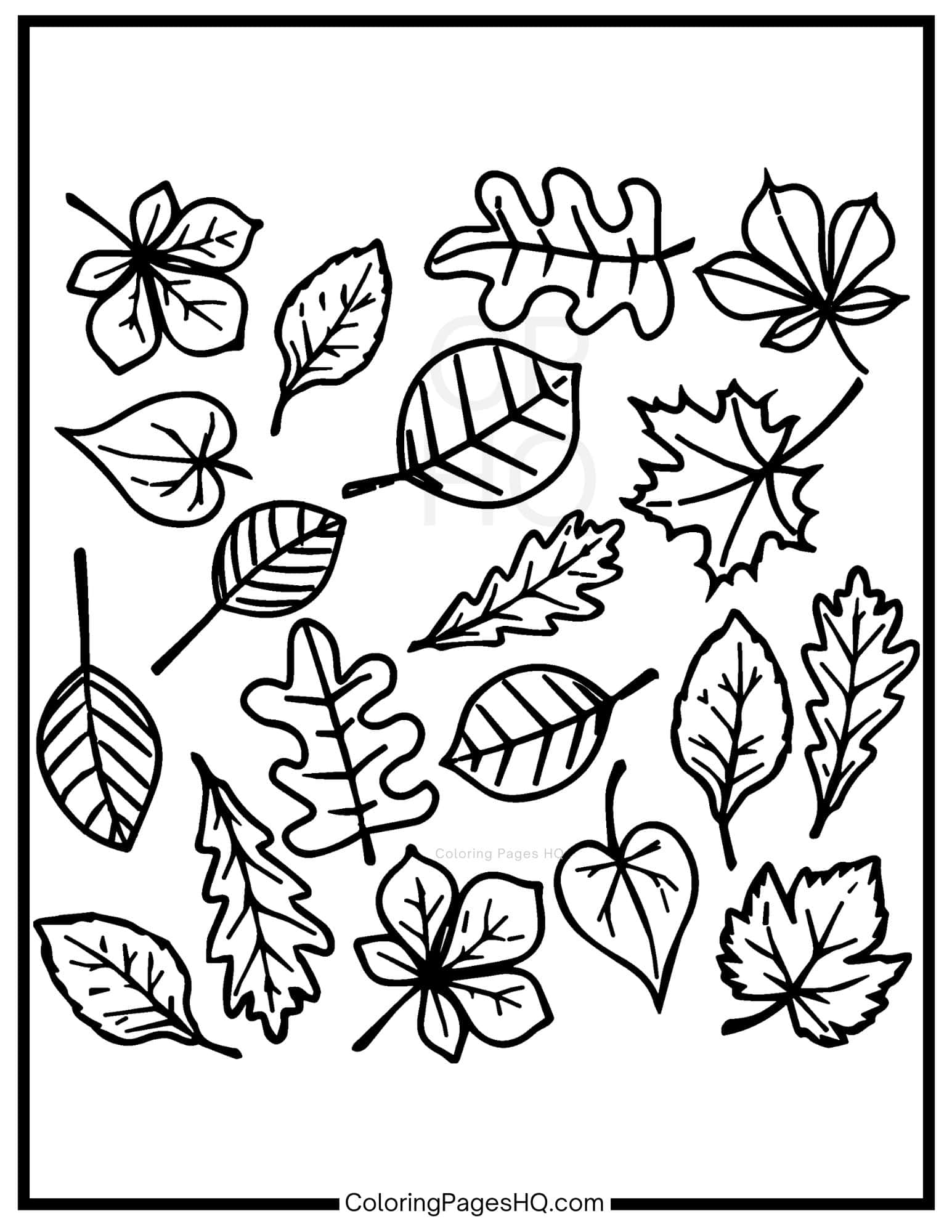 Leaf Coloring Pages (Free PDF Printables) - Coloring Pages HQ
