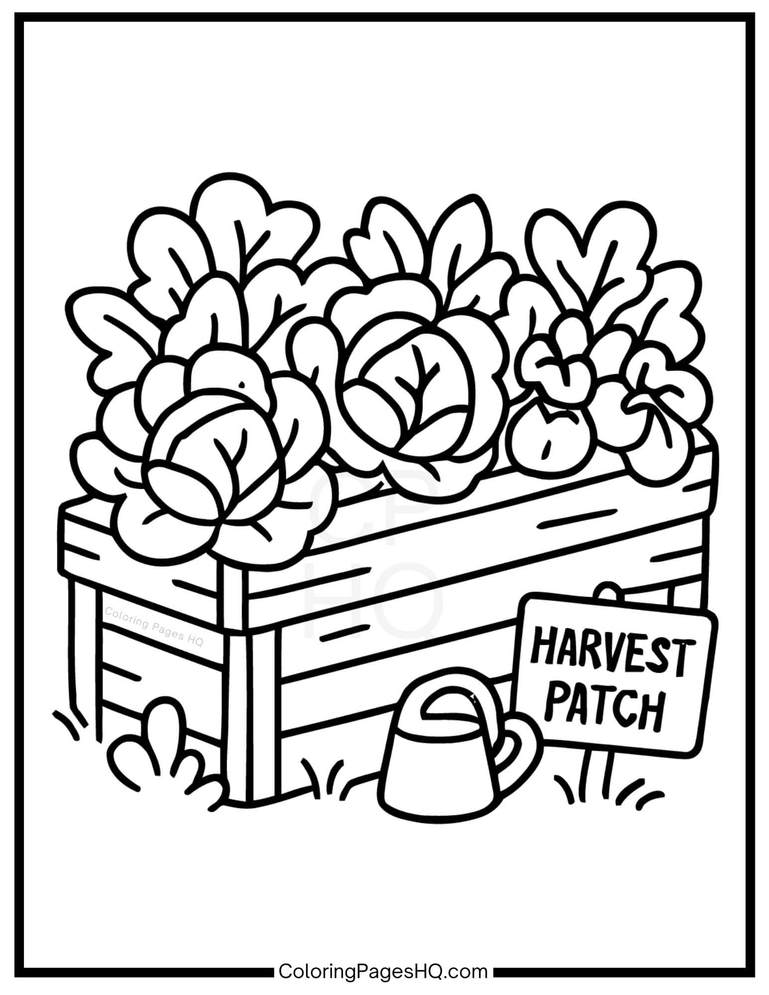 Cute Garden Coloring Pages (Free PDF Printables) - Coloring Pages HQ