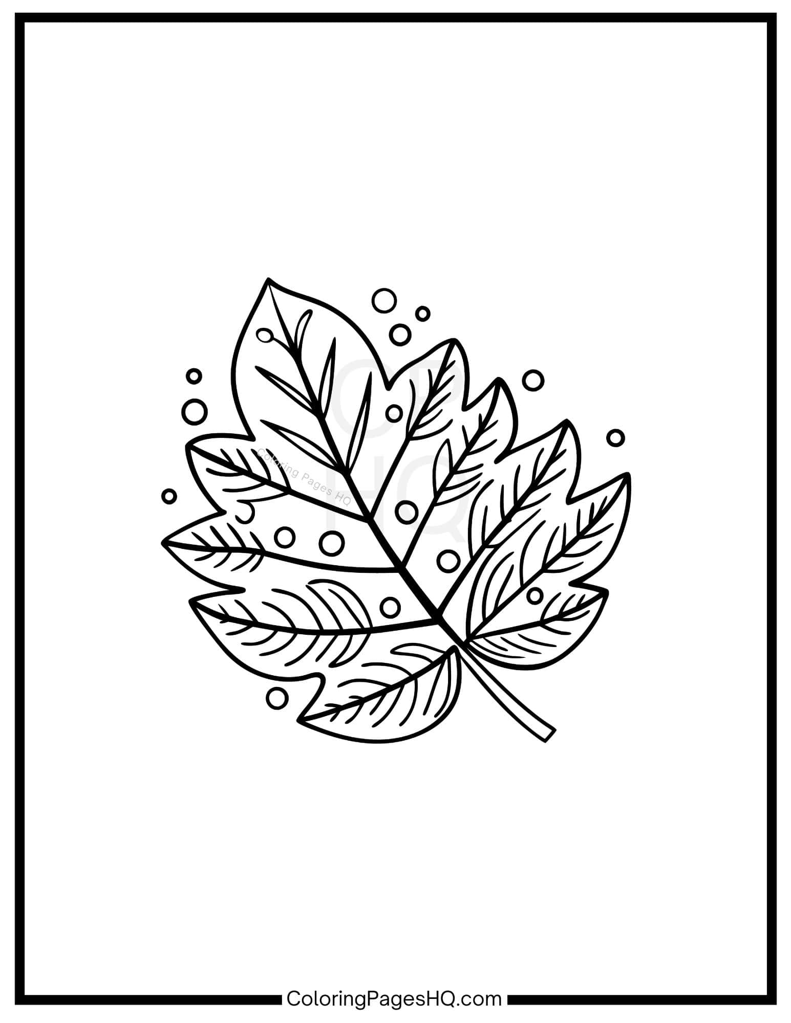Leaf Coloring Pages (Free PDF Printables) - Coloring Pages HQ