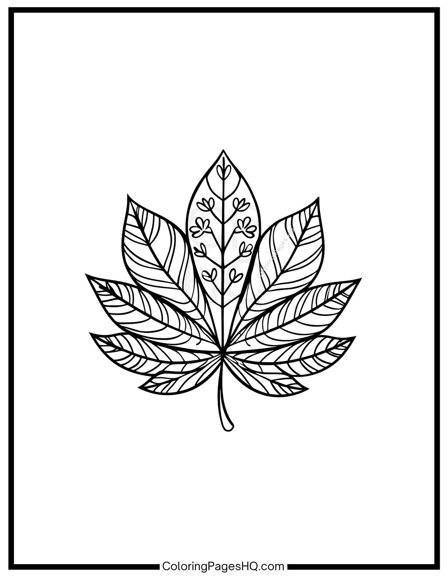 Leaf Coloring Pages (Free PDF Printables) - Coloring Pages HQ